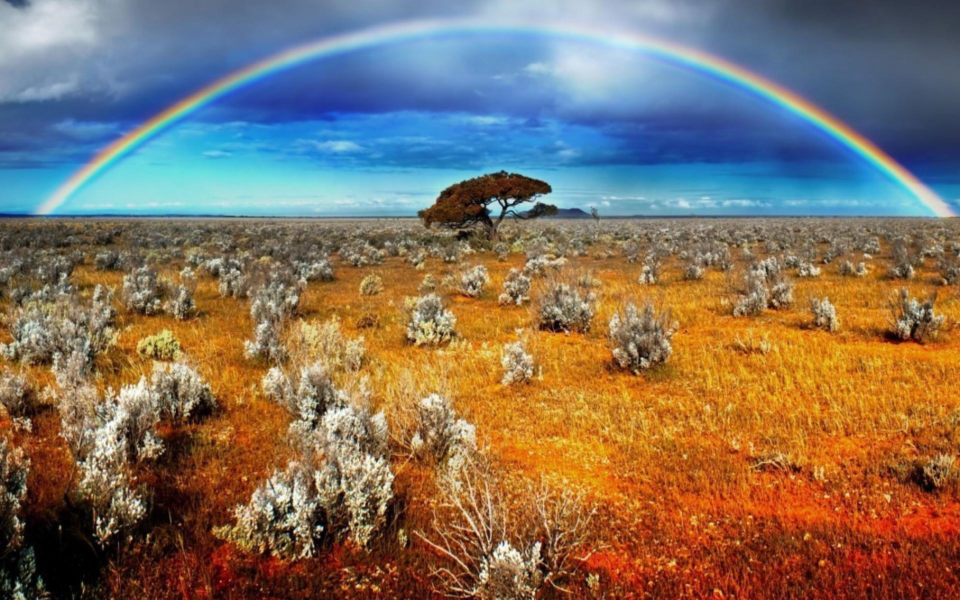 Australian Desert Wallpapers - Top Free Australian Desert Backgrounds ...