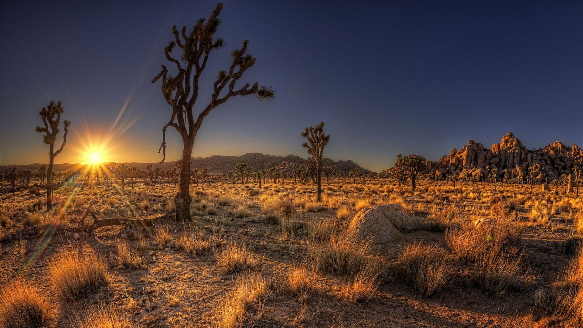 Australian Desert Wallpapers - Top Free Australian Desert Backgrounds ...