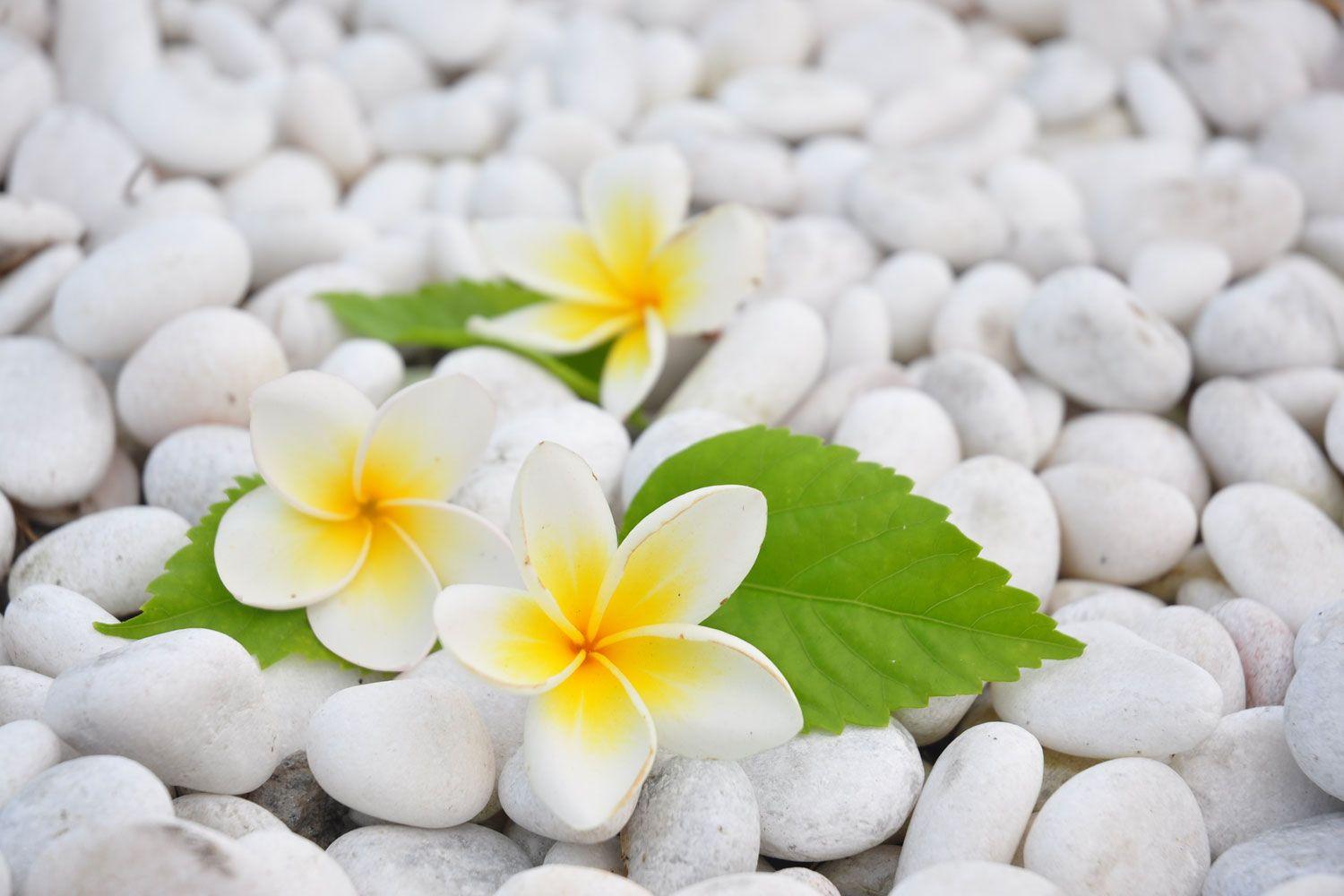 White Pebbles Wallpapers - Top Free White Pebbles Backgrounds ...