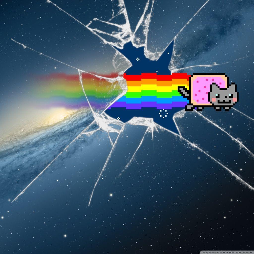 Kindle Fire Cat Wallpapers - Top Free Kindle Fire Cat Backgrounds ...