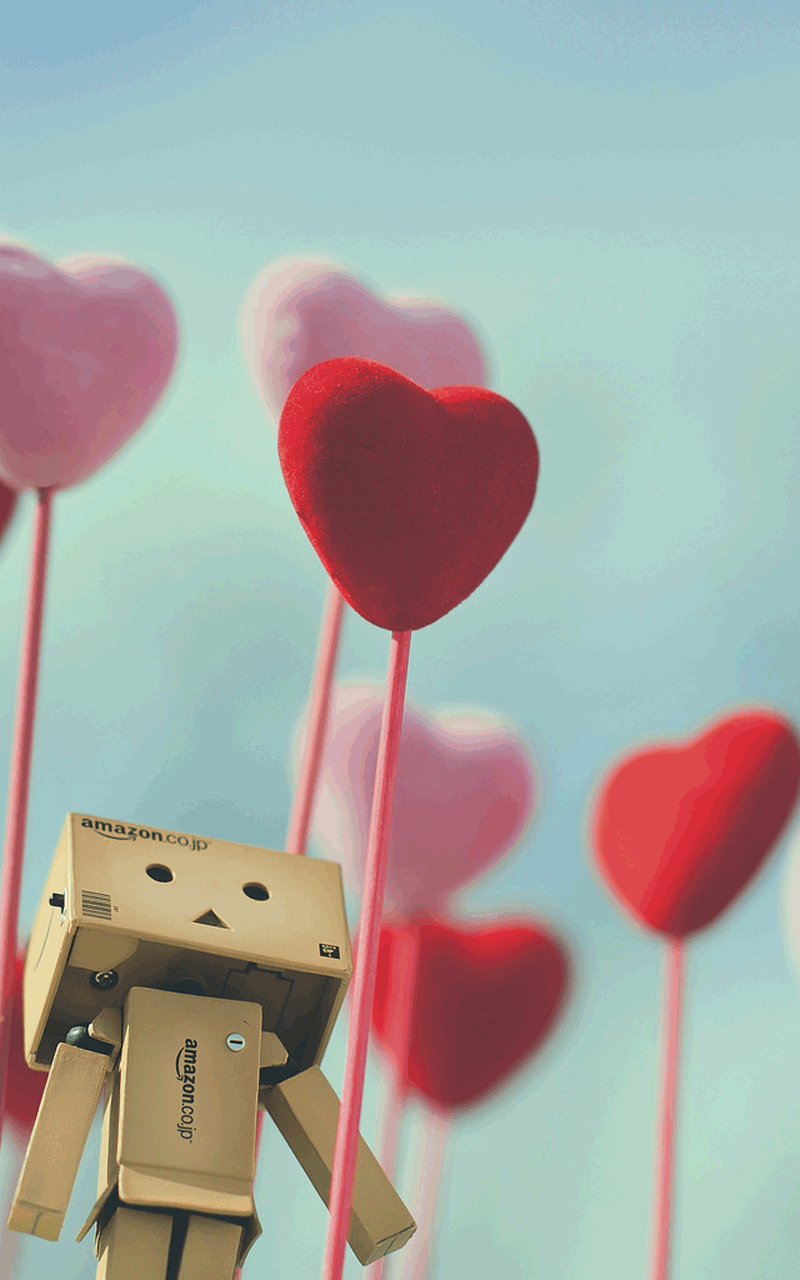 Kindle Fire Cat Wallpapers - Top Free Kindle Fire Cat Backgrounds ...