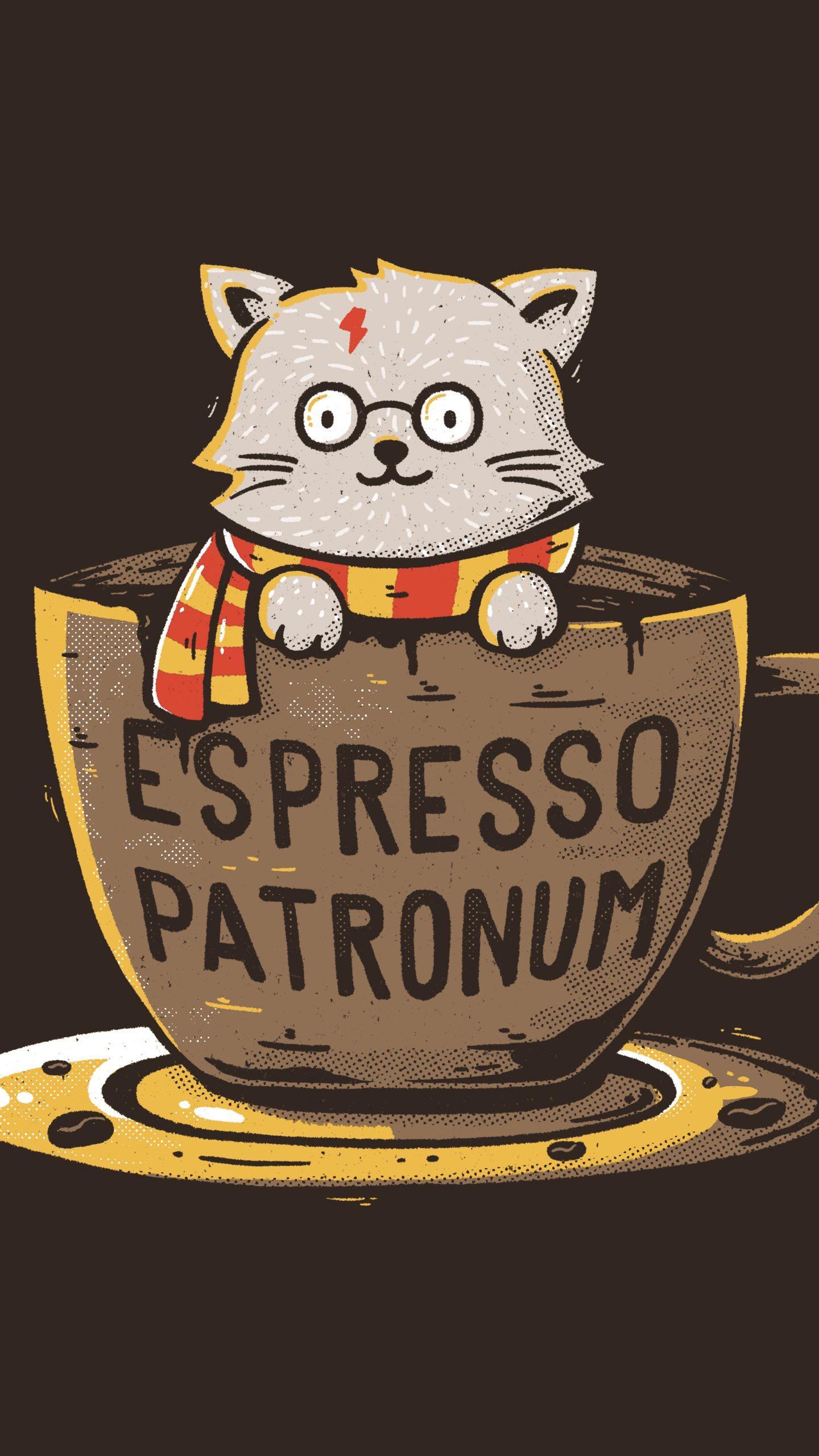 Harry Potter Cat Wallpapers - Top Free Harry Potter Cat Backgrounds ...