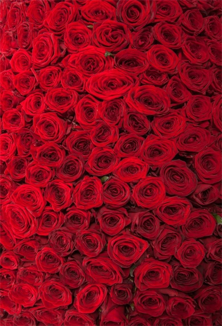 Red Rose Phone Wallpapers - Top Free Red Rose Phone Backgrounds ...