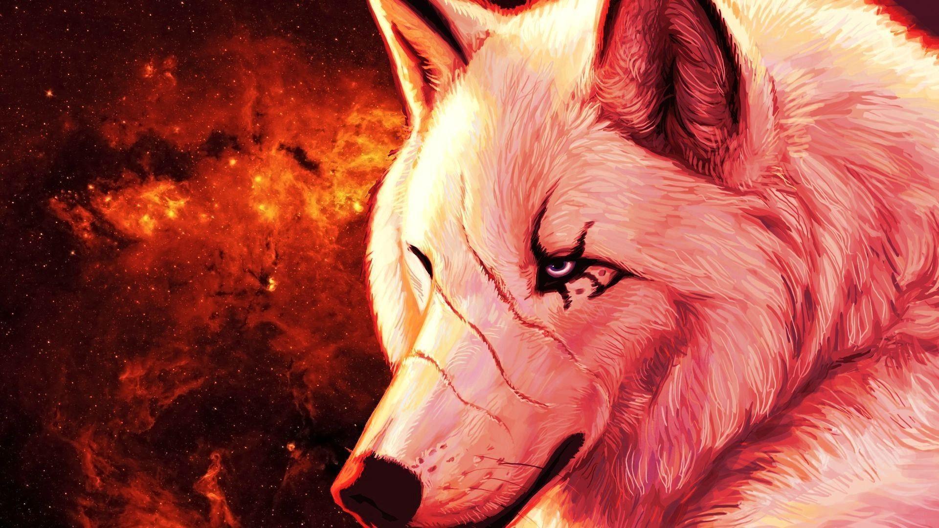 Wolf Warrior Wallpapers - Top Free Wolf Warrior Backgrounds ...