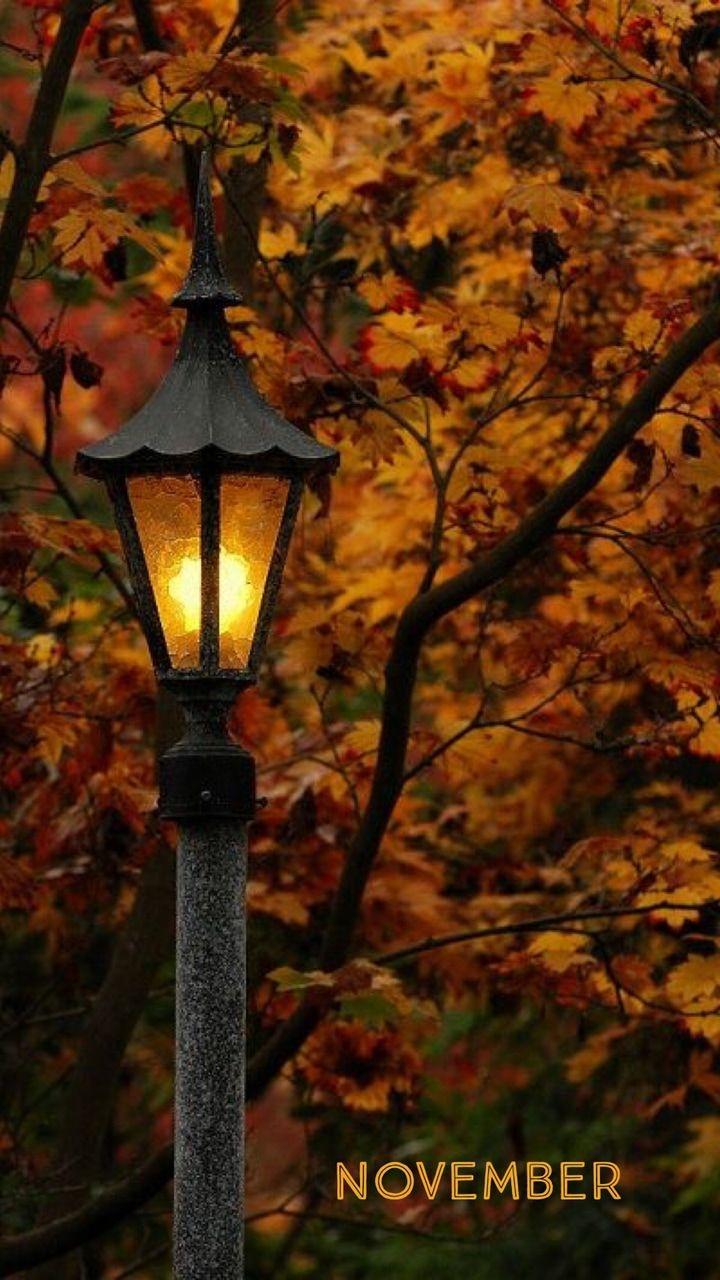 Autumn Lights Aesthetic Wallpapers - Top Free Autumn Lights Aesthetic ...