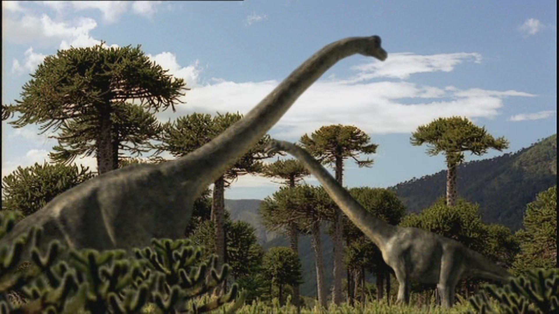 Brachiosaurus Wallpapers - Top Free Brachiosaurus Backgrounds ...