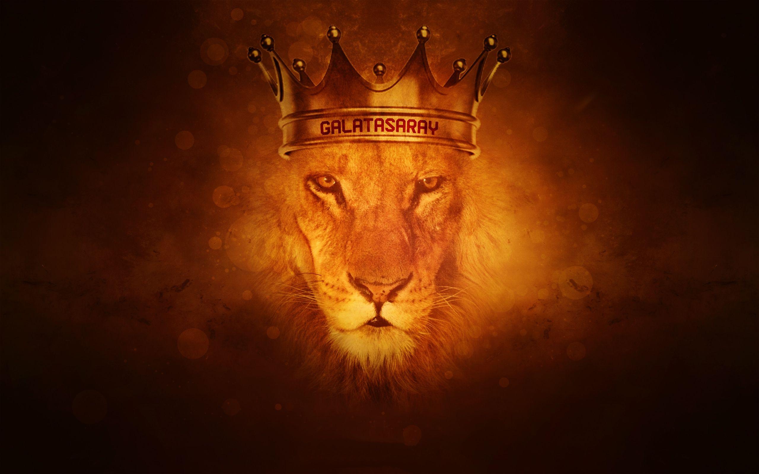 Narnia Wallpapers - Top Free Narnia Backgrounds - WallpaperAccess