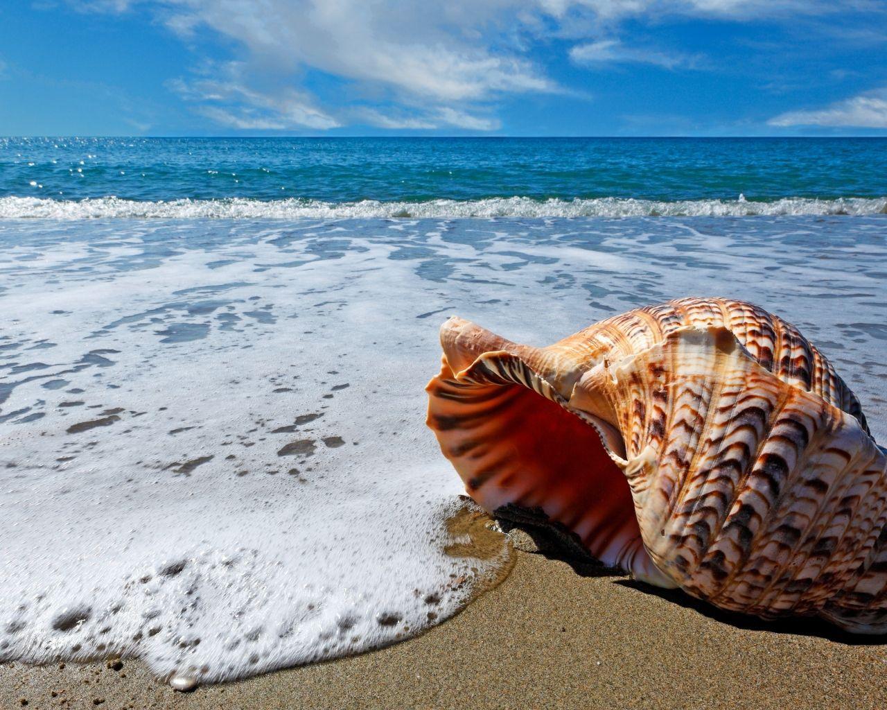 8k Sea Wallpapers - Top Free 8k Sea Backgrounds - WallpaperAccess