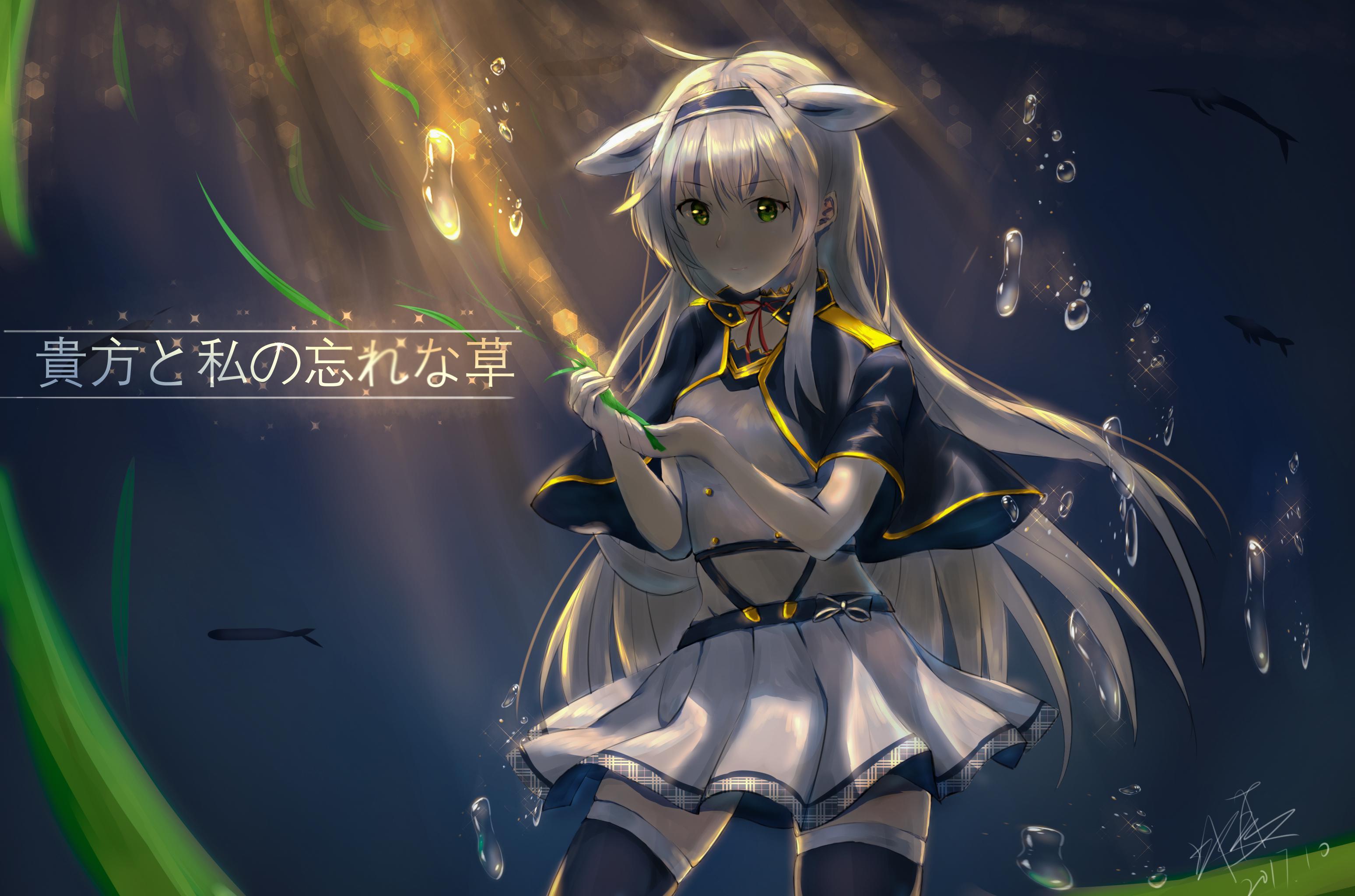 Glenn Radars Wallpapers - Top Free Glenn Radars Backgrounds ...