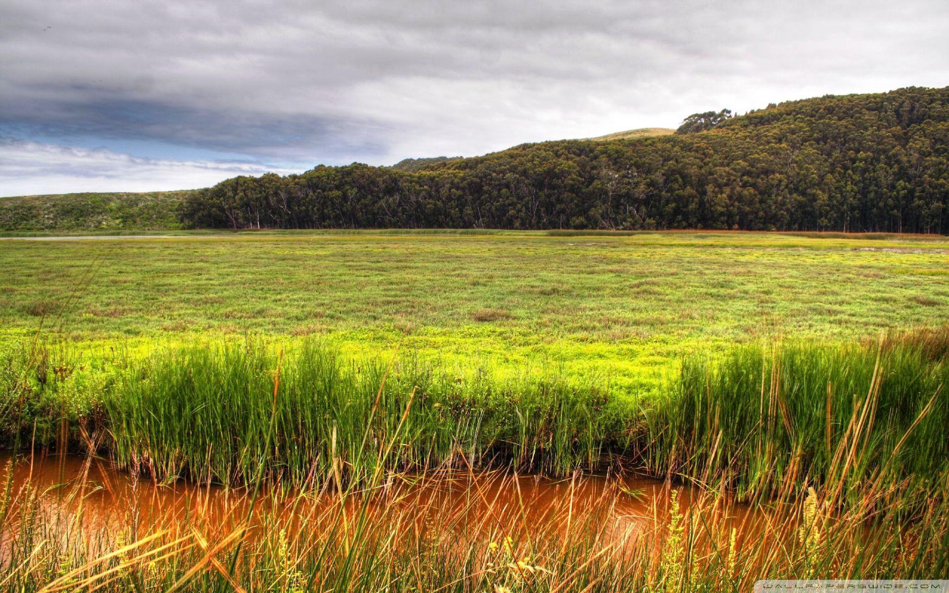 Wetland Wallpapers - Top Free Wetland Backgrounds - WallpaperAccess