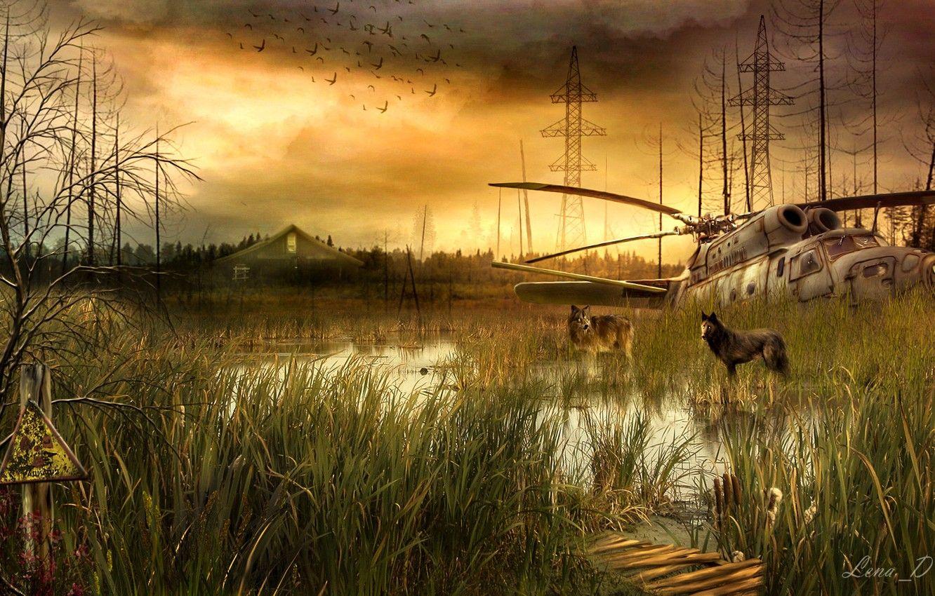 Wetland Wallpapers - Top Free Wetland Backgrounds - WallpaperAccess