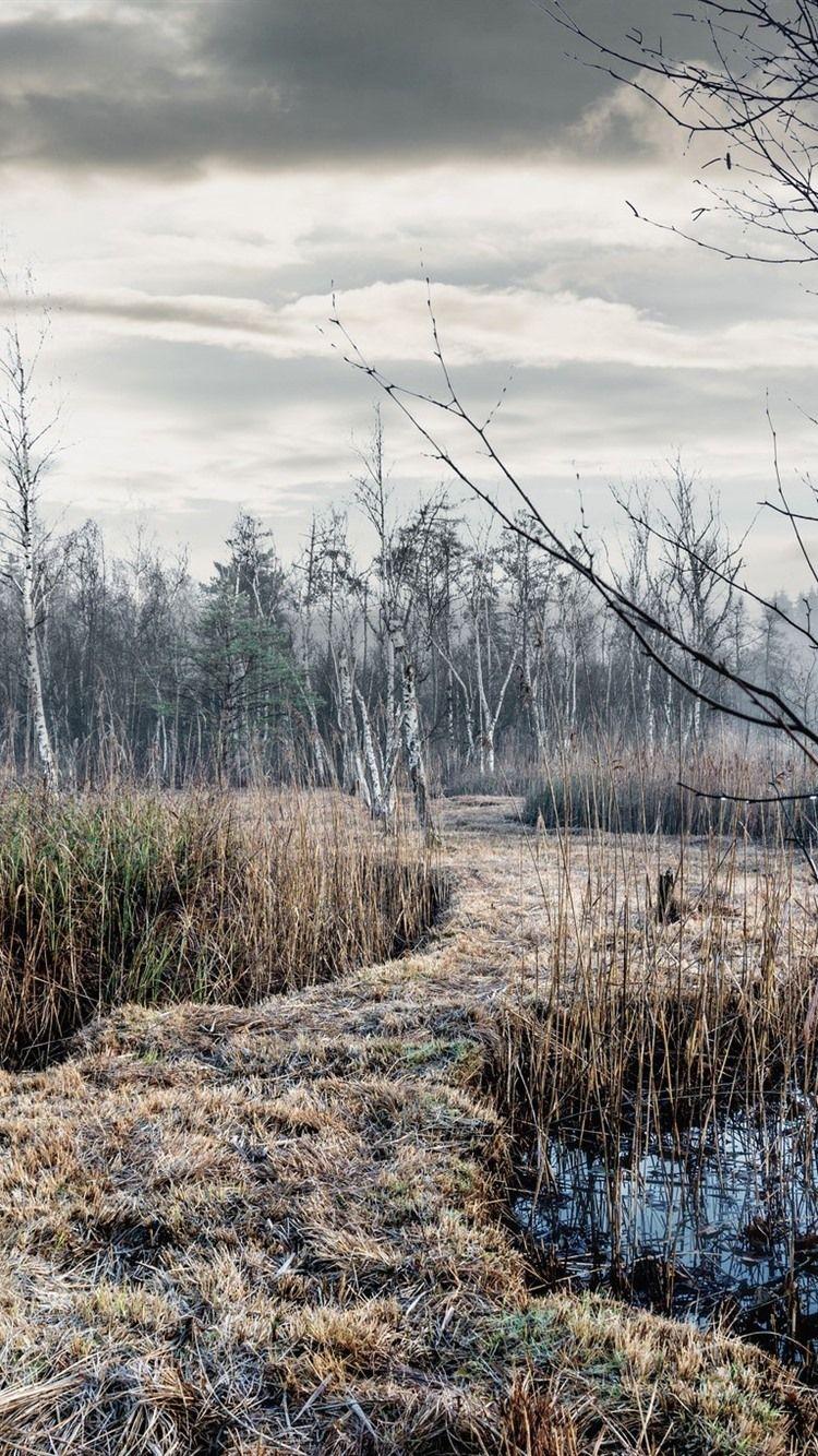 Wetland Wallpapers - Top Free Wetland Backgrounds - WallpaperAccess