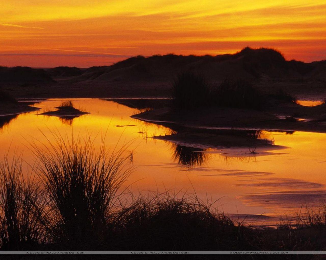 Wetland Wallpapers - Top Free Wetland Backgrounds - WallpaperAccess