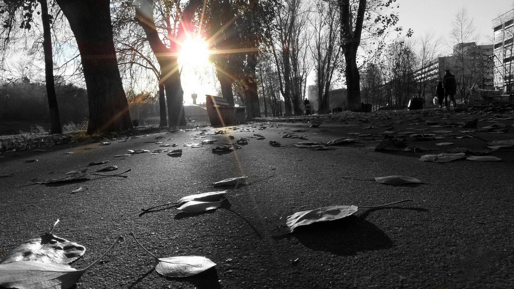 Sidewalk Wallpapers - Top Free Sidewalk Backgrounds - WallpaperAccess