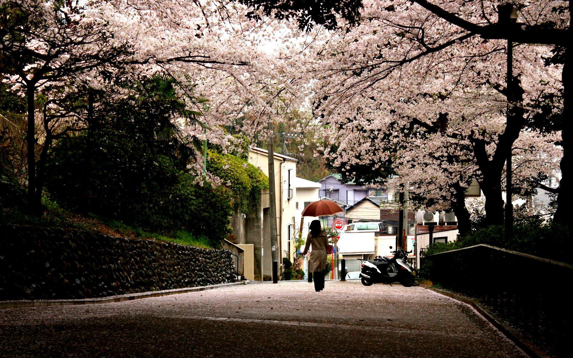 Sidewalk Wallpapers - Top Free Sidewalk Backgrounds - WallpaperAccess