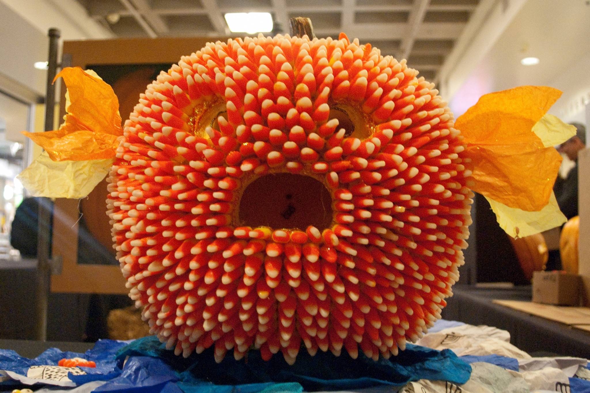 Pumpkin Computer Wallpapers - Top Free Pumpkin Computer Backgrounds ...