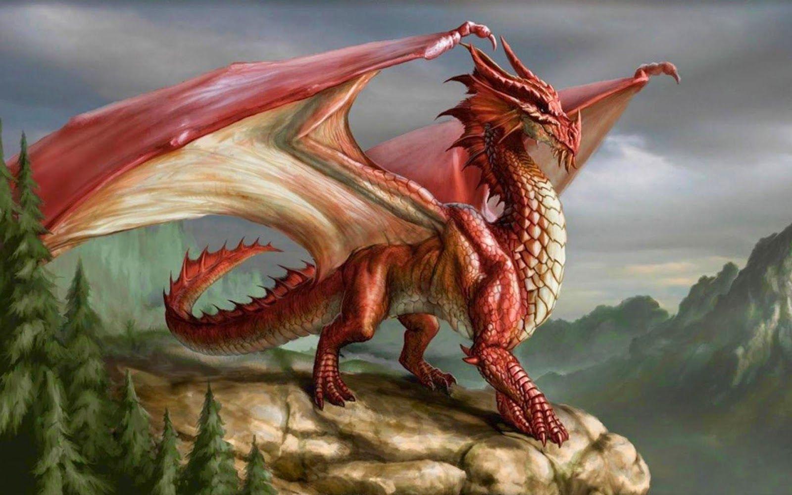 Friendly Dragon Wallpapers - Top Free Friendly Dragon Backgrounds ...