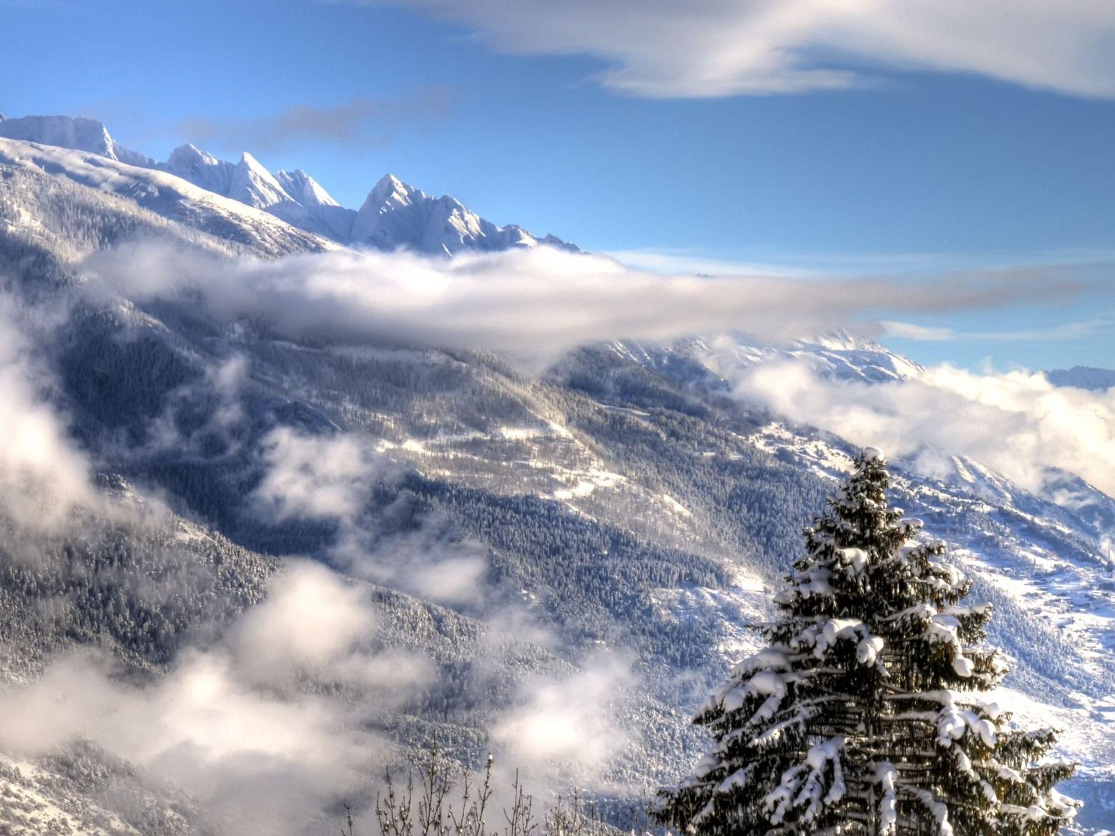 Winter Morning Wallpapers - Top Free Winter Morning Backgrounds ...