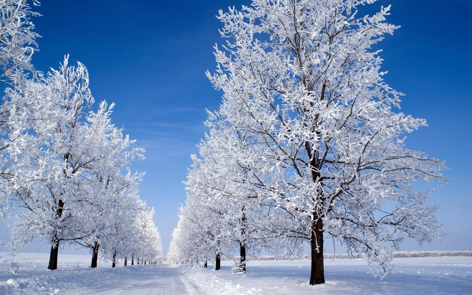 Winter Morning Wallpapers - Top Free Winter Morning Backgrounds ...