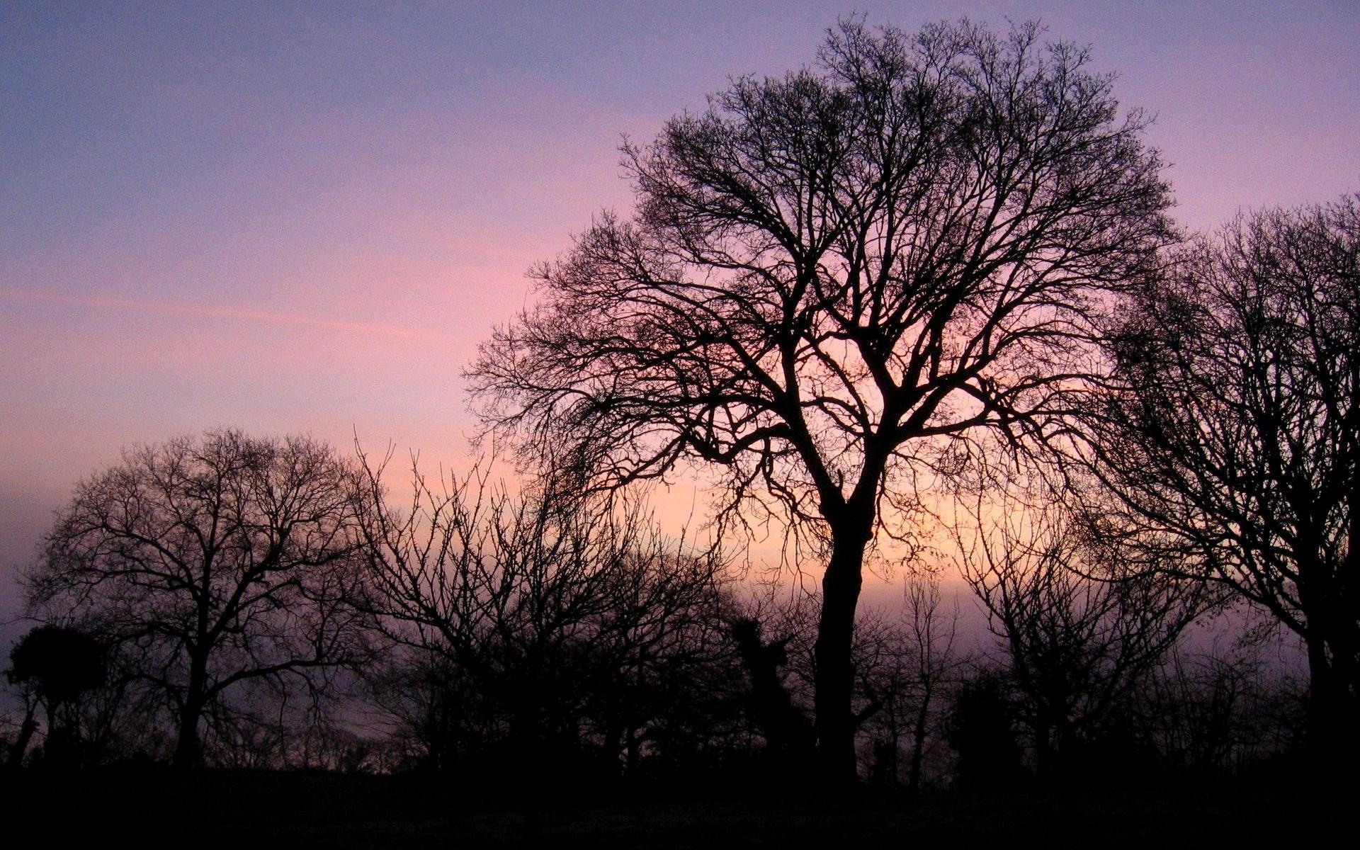 Winter Morning Wallpapers - Top Free Winter Morning Backgrounds ...