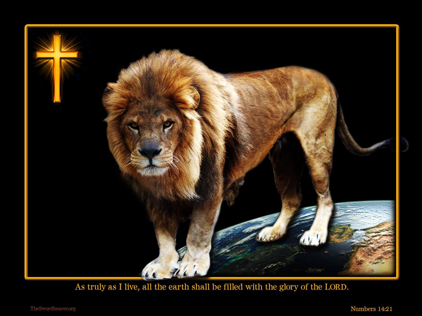 Jesus Lion Wallpapers - Top Free Jesus Lion Backgrounds - WallpaperAccess