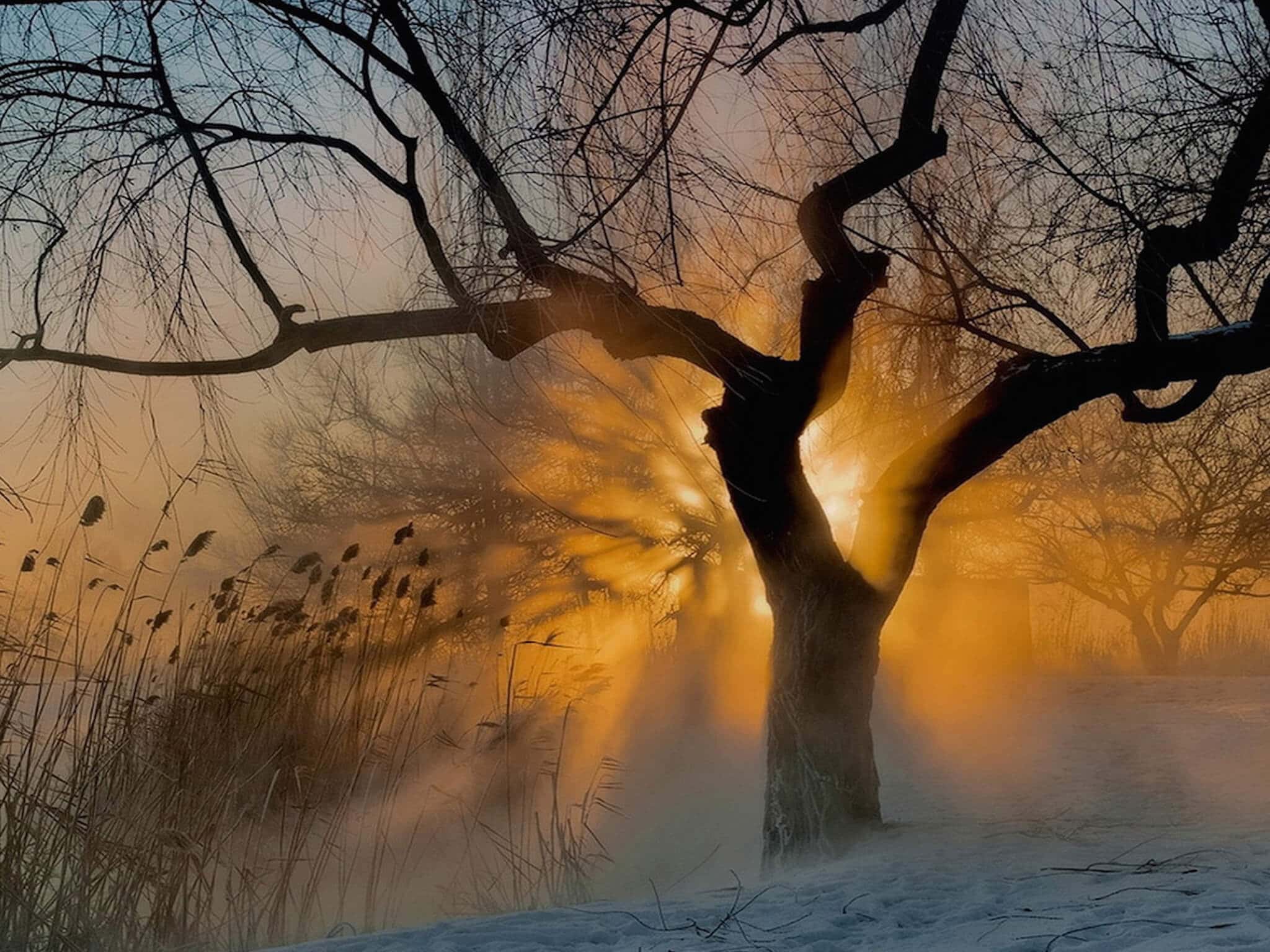Winter Morning Wallpapers - Top Free Winter Morning Backgrounds ...