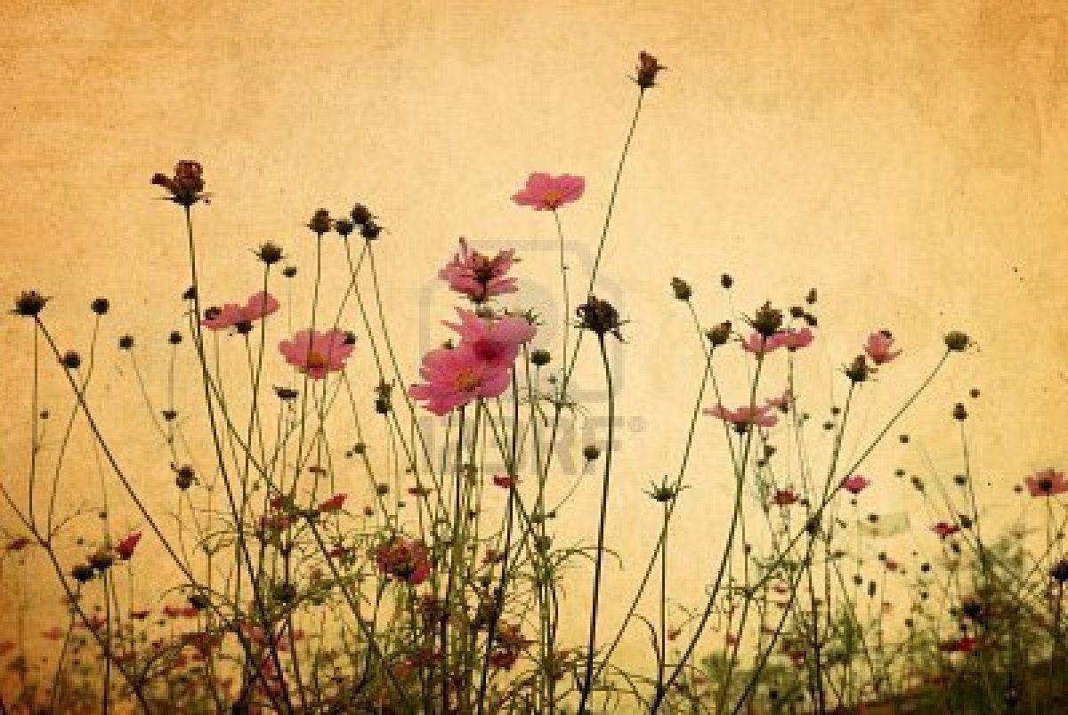 Vintage Fall Flower Desktop Wallpapers - Top Free Vintage Fall Flower ...