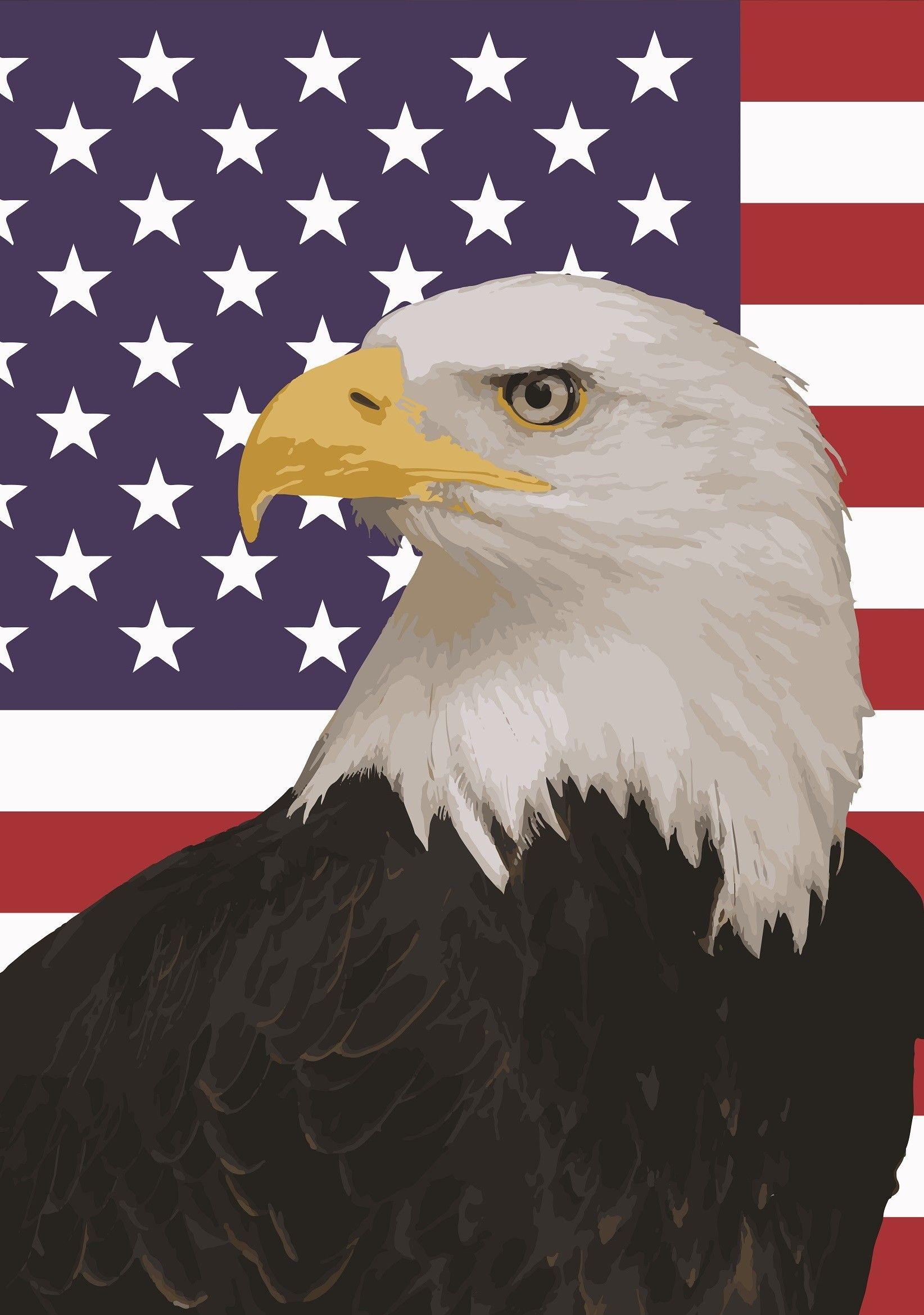 Bald Eagle Flag Wallpapers - Top Free Bald Eagle Flag Backgrounds ...