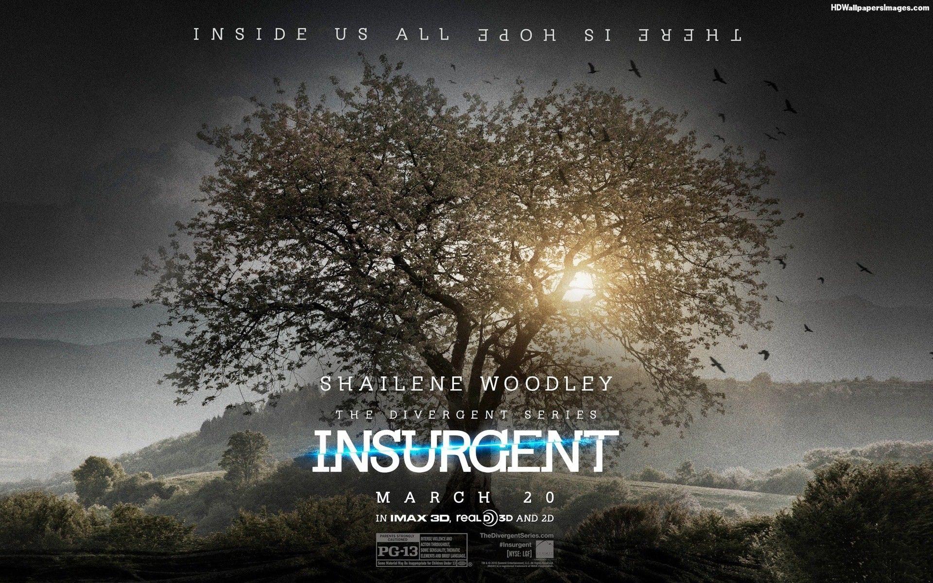 Divergent Desktop Wallpapers - Top Free Divergent Desktop Backgrounds ...