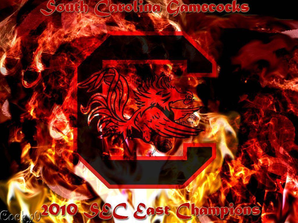 Carolina Gamecocks Wallpapers - Top Free Carolina Gamecocks Backgrounds ...