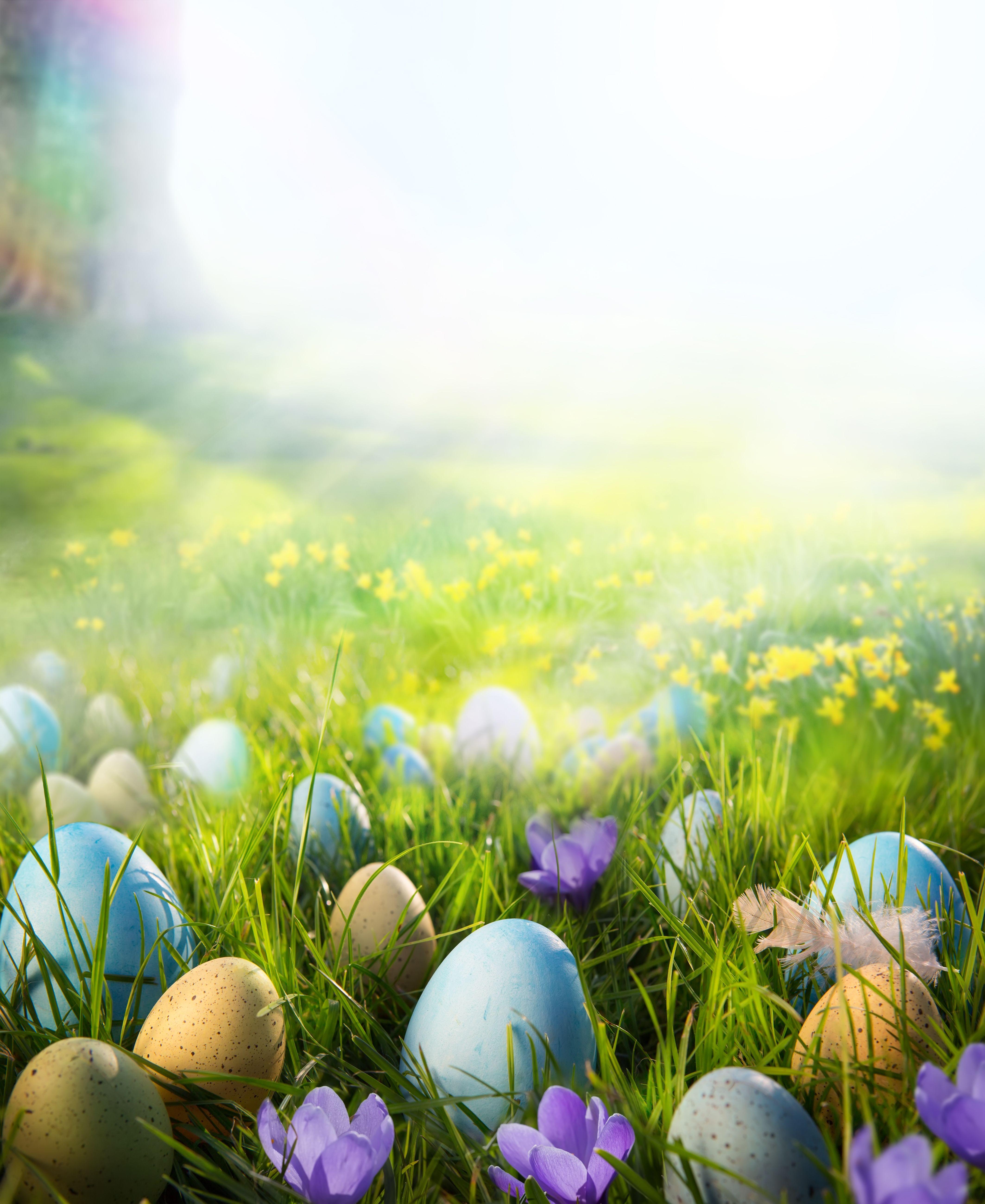 Colorful Easter Wallpapers - Top Free Colorful Easter Backgrounds - WallpaperAccess