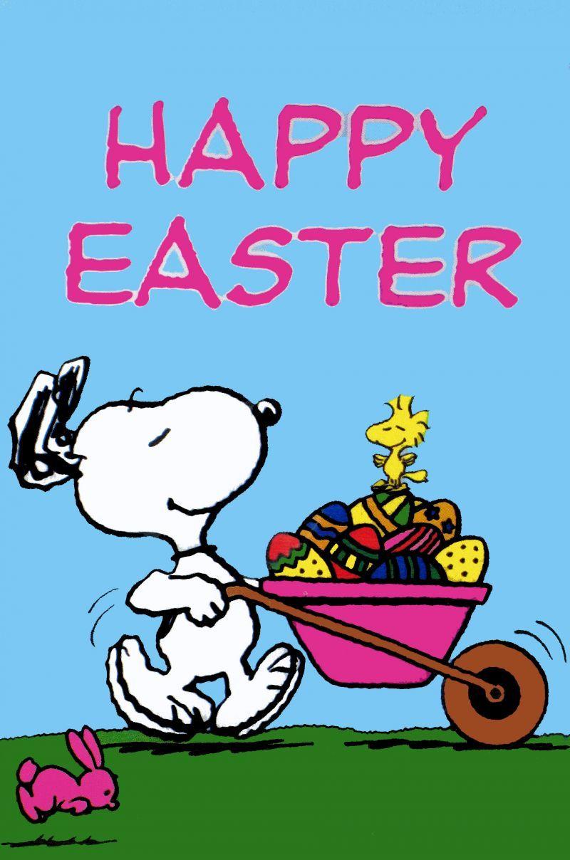 Snoopy Easter Wallpapers - Top Free Snoopy Easter Backgrounds ...