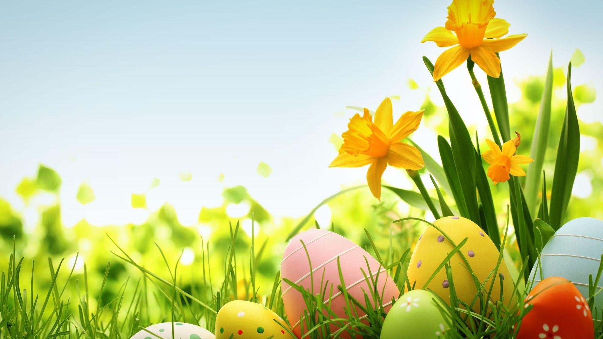 Colorful Easter Wallpapers - Top Free Colorful Easter Backgrounds - WallpaperAccess