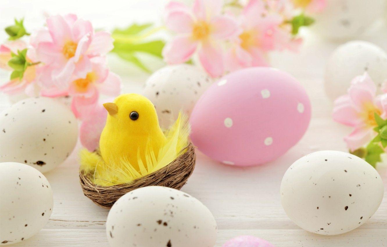 Easter Peeps Wallpapers - Top Free Easter Peeps Backgrounds ...