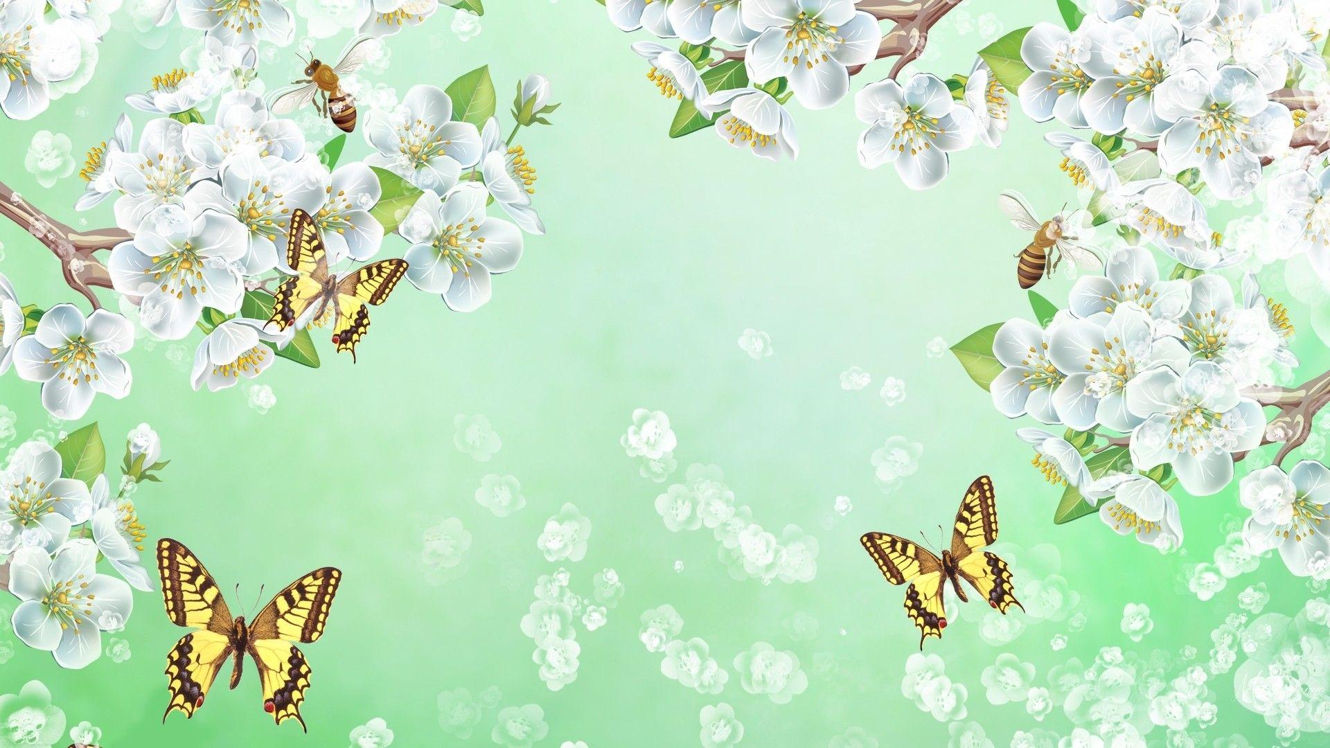 Green Butterfly Wallpapers - Top Free Green Butterfly Backgrounds ...