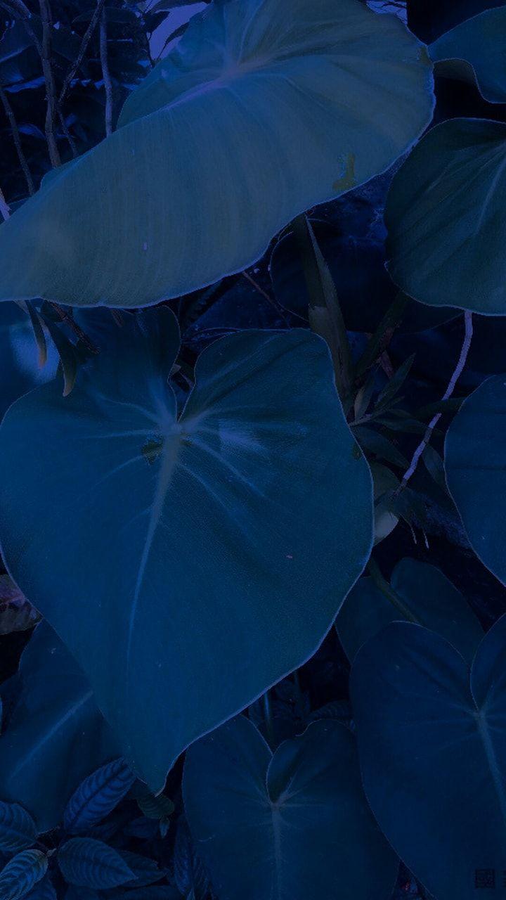 Blue Vaporwave Wallpapers - Top Free Blue Vaporwave Backgrounds ...