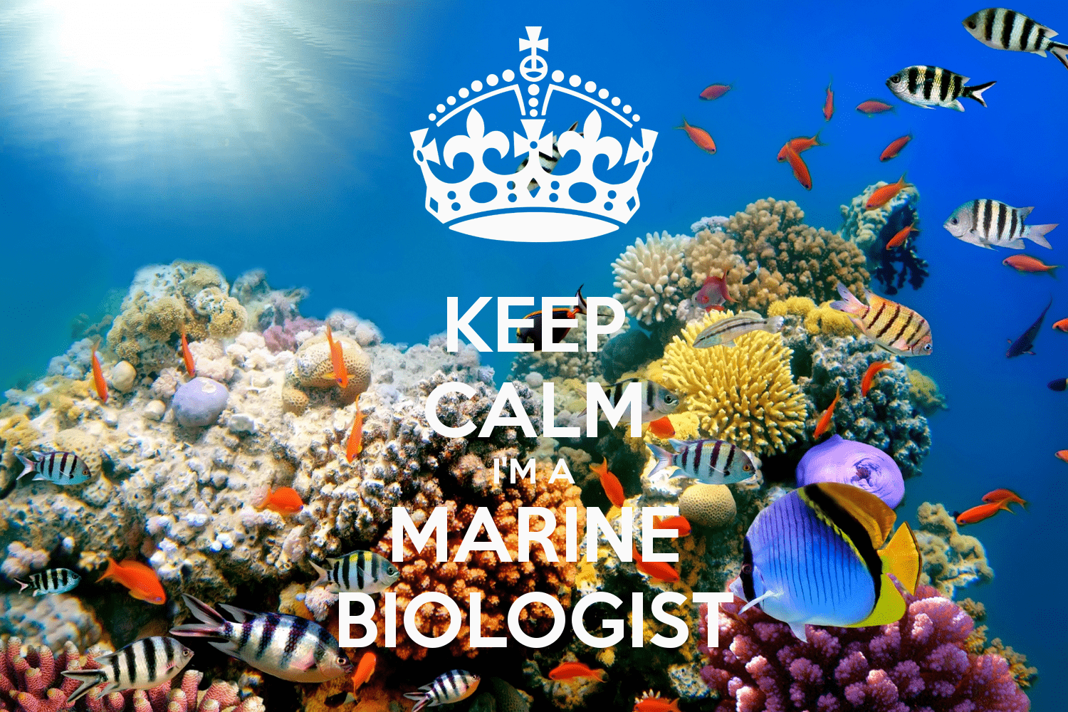 Marine Biology Wallpapers - Top Free Marine Biology Backgrounds ...