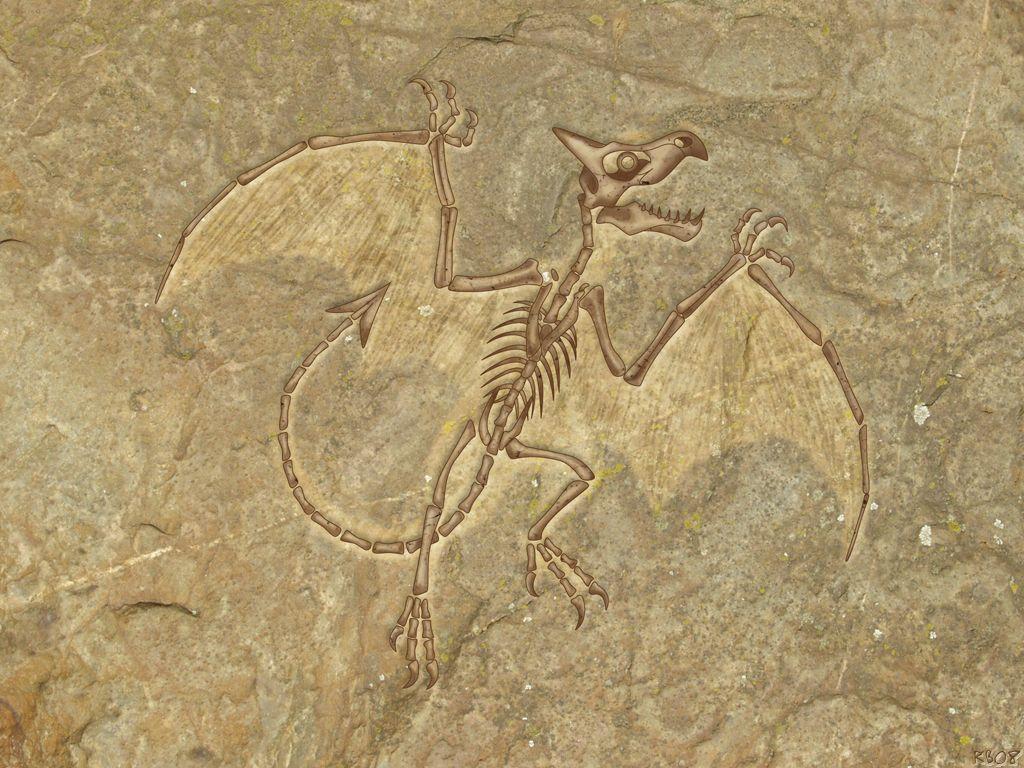 Aerodactyl Wallpapers - Top Free Aerodactyl Backgrounds - WallpaperAccess