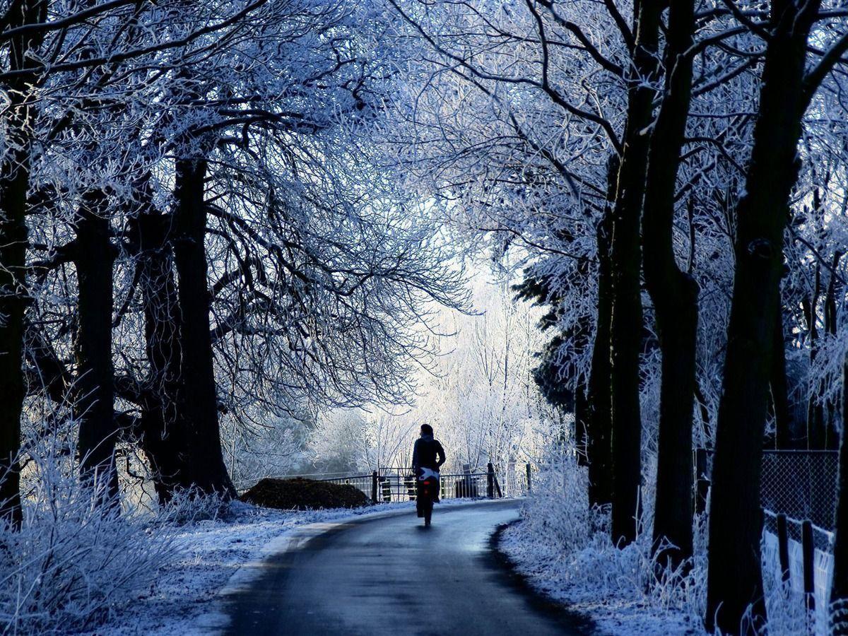 1200 X 900 Winter Wallpapers - Top Free 1200 X 900 Winter Backgrounds ...