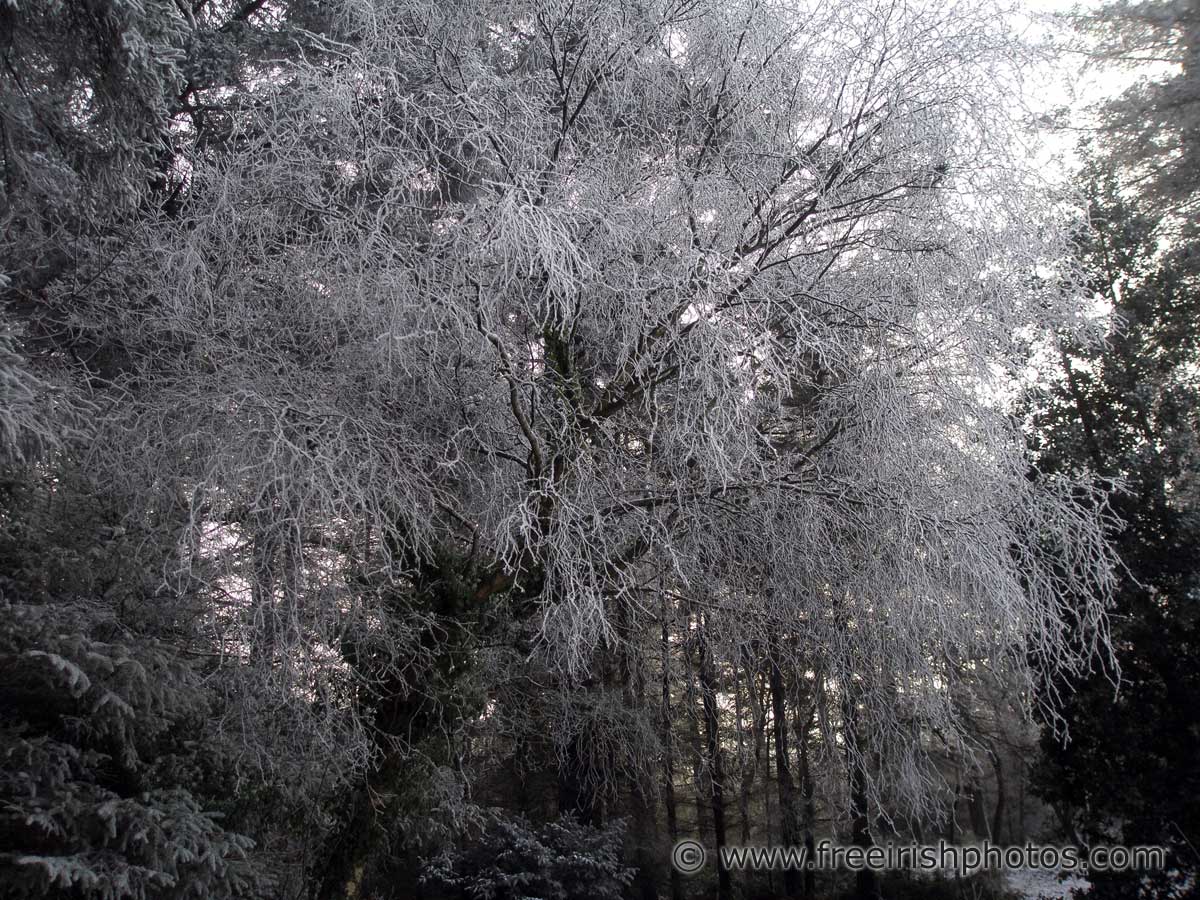 1200 X 900 Winter Wallpapers - Top Free 1200 X 900 Winter Backgrounds ...