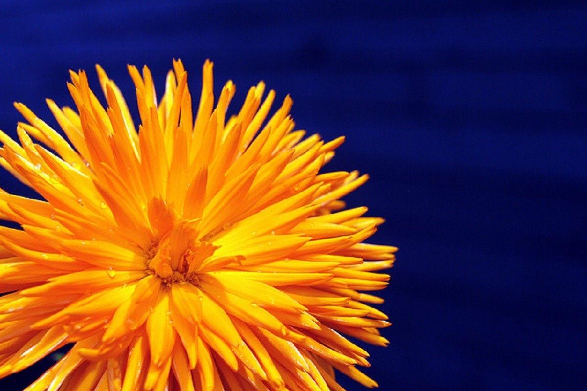 1200 X 800 Wallpapers - Top Free 1200 X 800 Backgrounds - WallpaperAccess