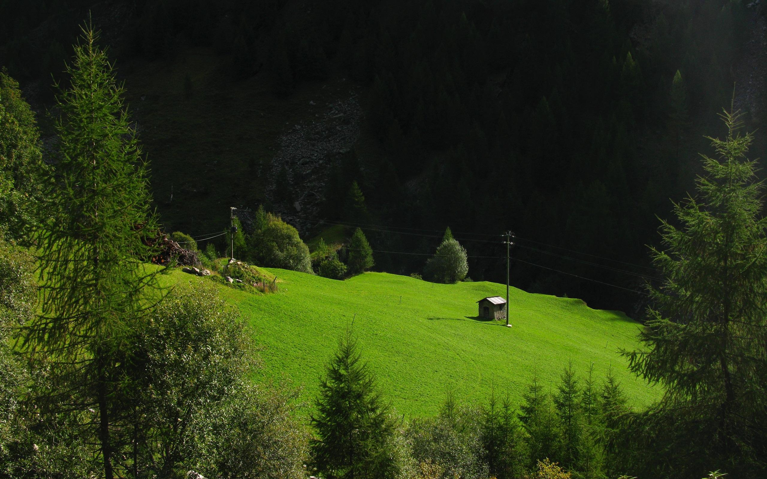 Isolated Wallpapers - Top Free Isolated Backgrounds - WallpaperAccess