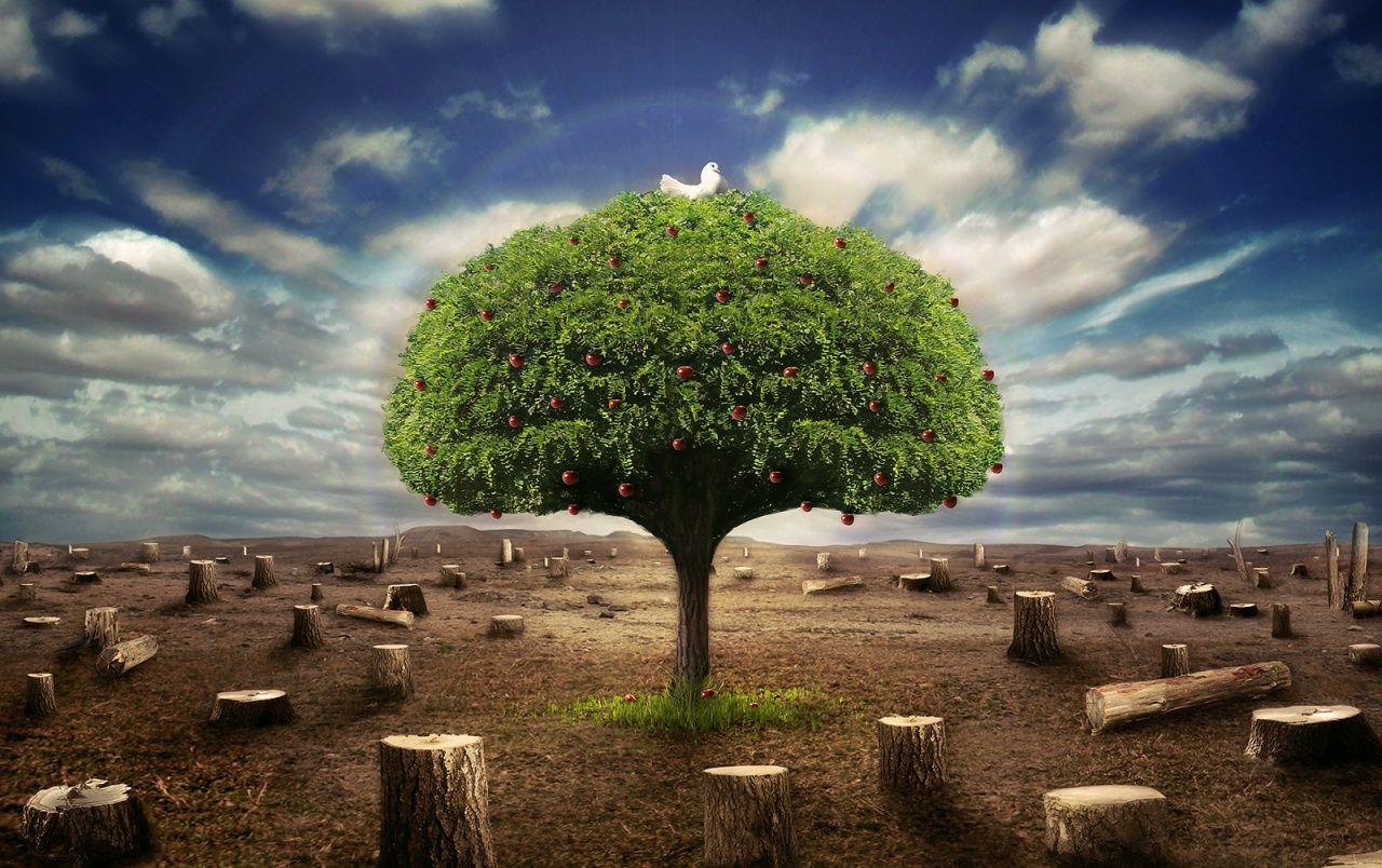 Isolated Wallpapers - Top Free Isolated Backgrounds - WallpaperAccess