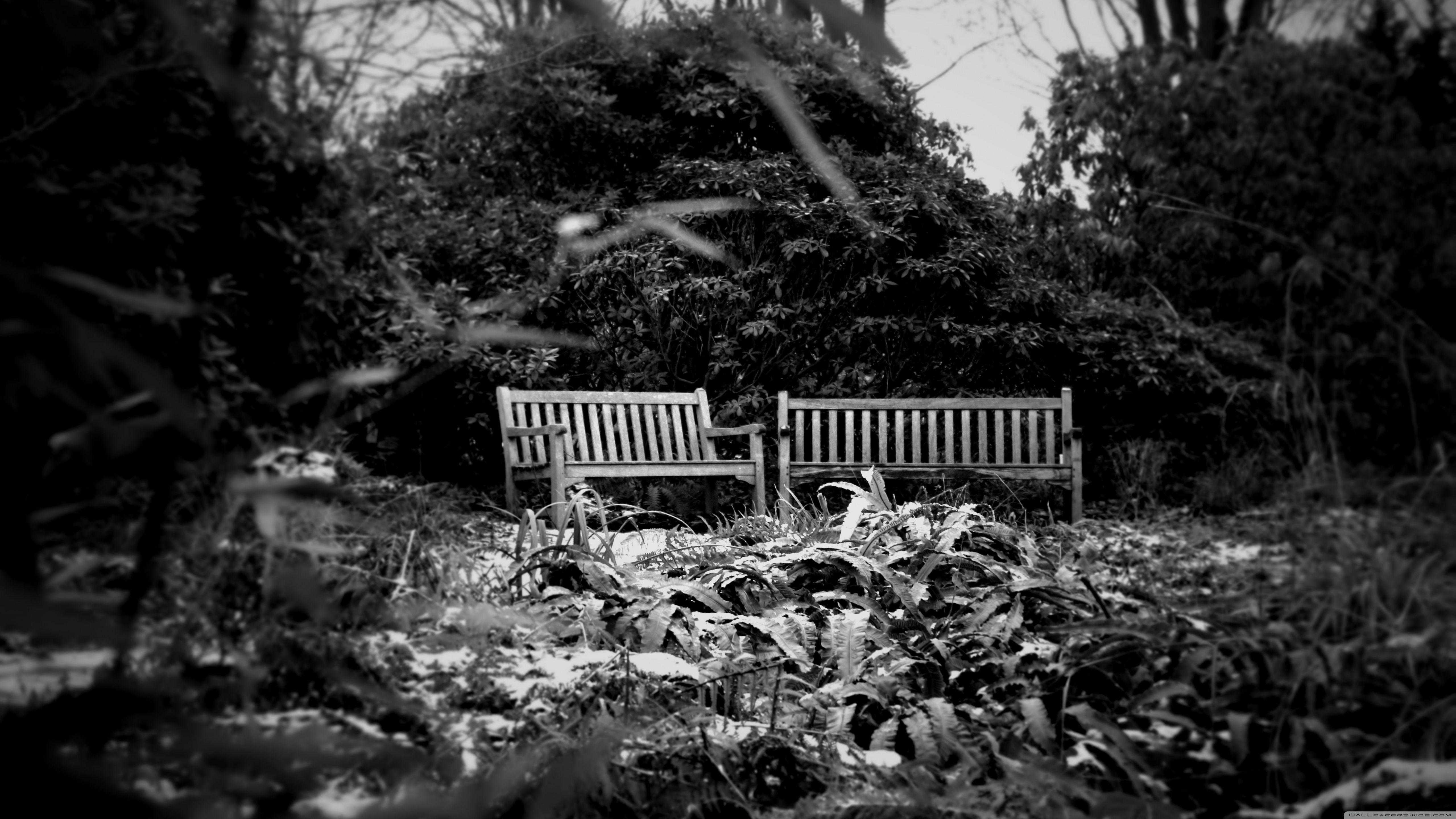 Isolated Wallpapers - Top Free Isolated Backgrounds - WallpaperAccess