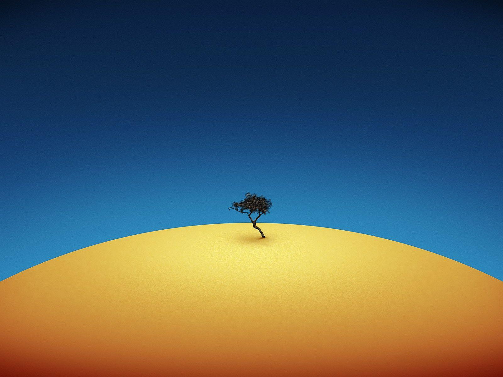 Isolated Wallpapers - Top Free Isolated Backgrounds - WallpaperAccess