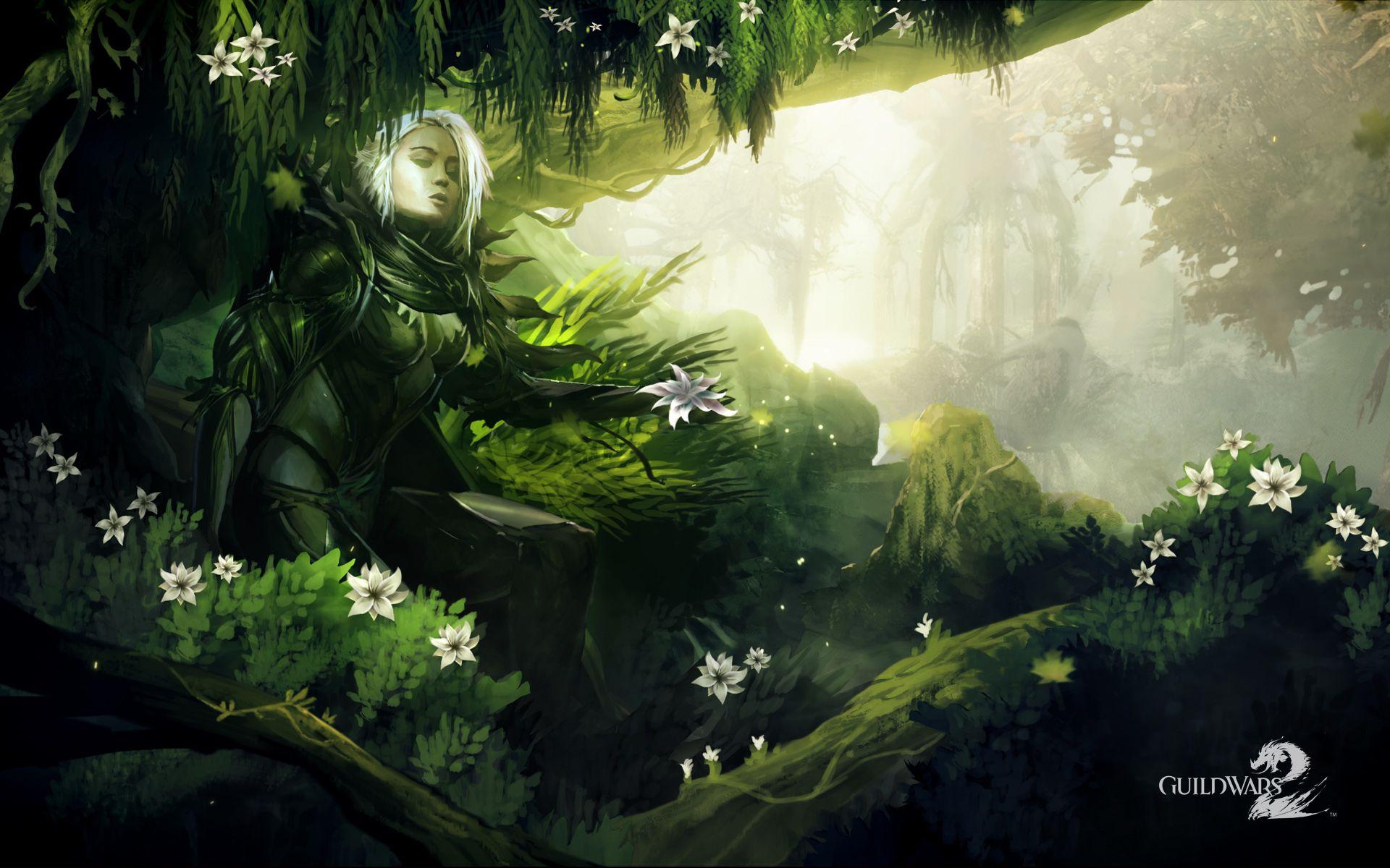 GW2 Wallpapers - Top Free GW2 Backgrounds - WallpaperAccess