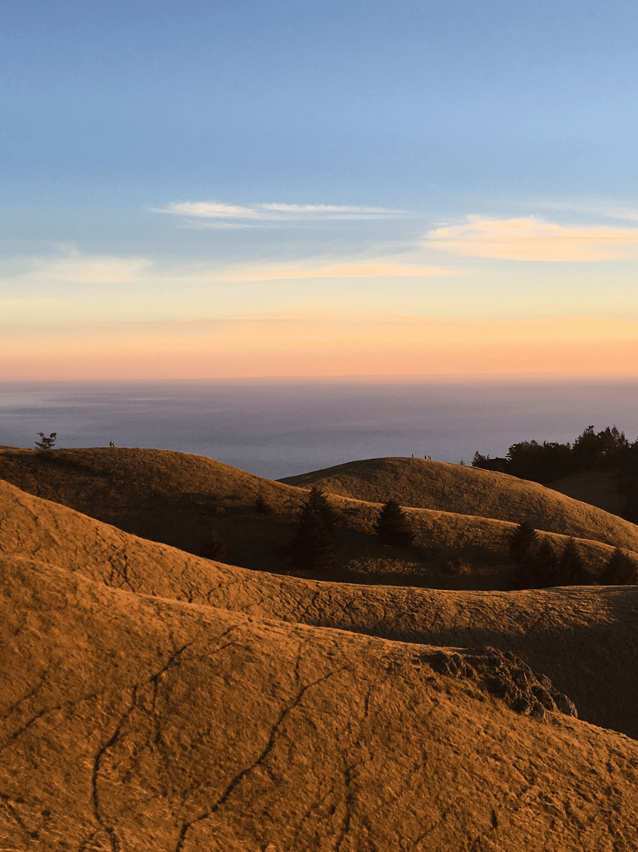 Texas Desert Wallpapers - Top Free Texas Desert Backgrounds ...