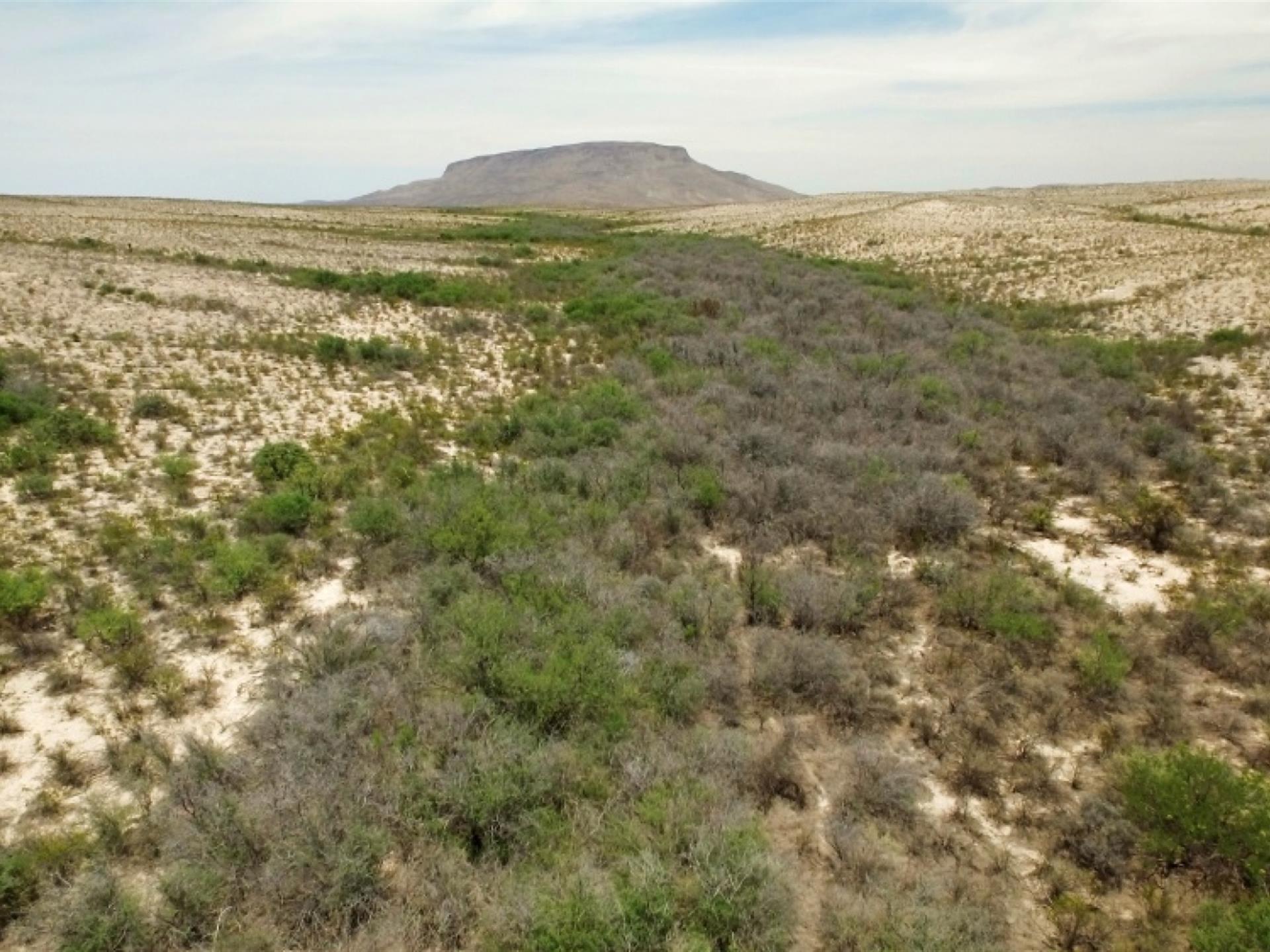 Texas Desert Wallpapers - Top Free Texas Desert Backgrounds ...