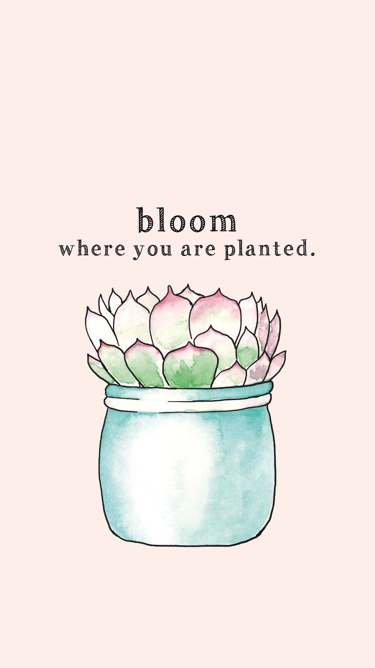 Boss Babe Wallpapers - Top Free Boss Babe Backgrounds - WallpaperAccess