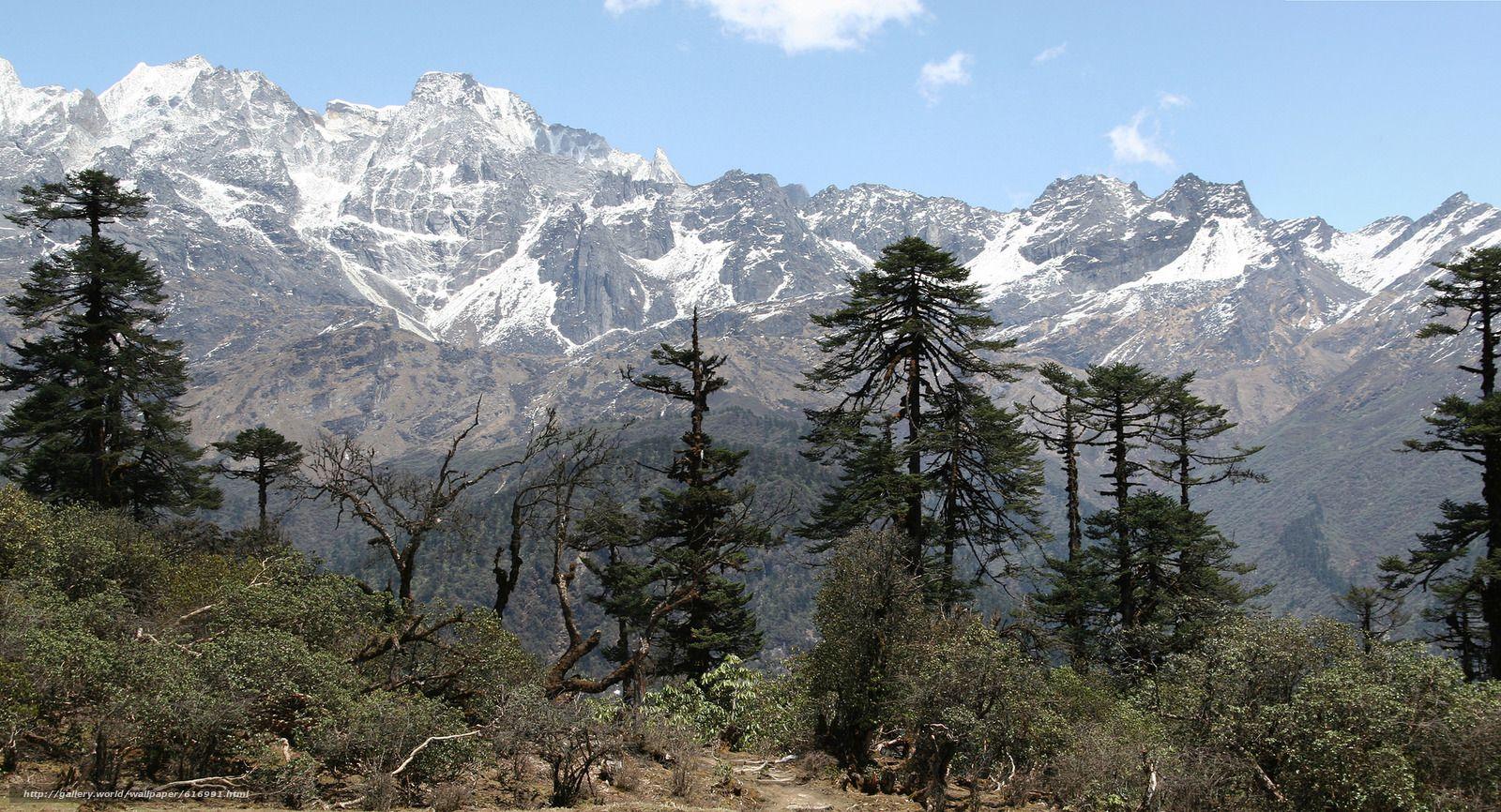 Sikkim Wallpapers - Top Free Sikkim Backgrounds - WallpaperAccess